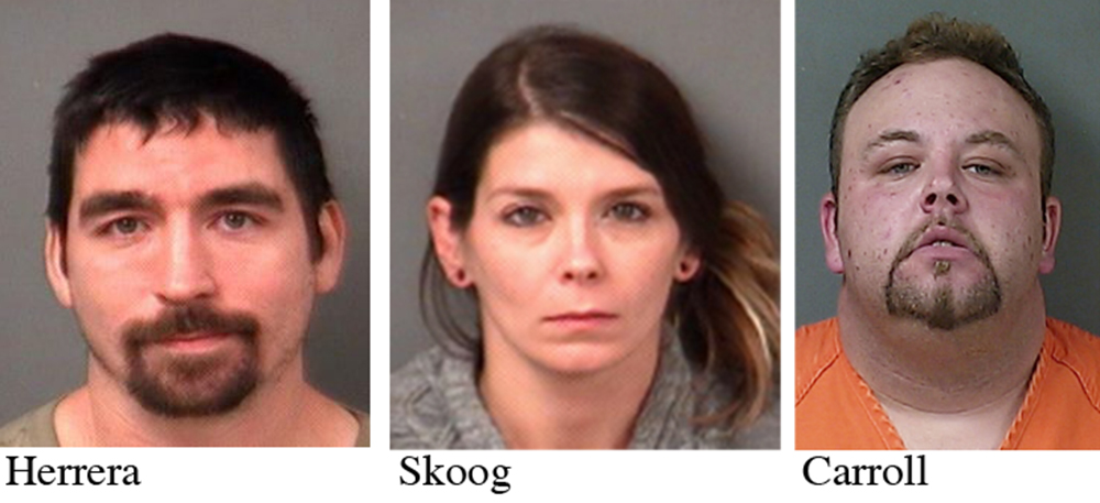 CSC, drug charges, bringing contraband to jail among felony ...