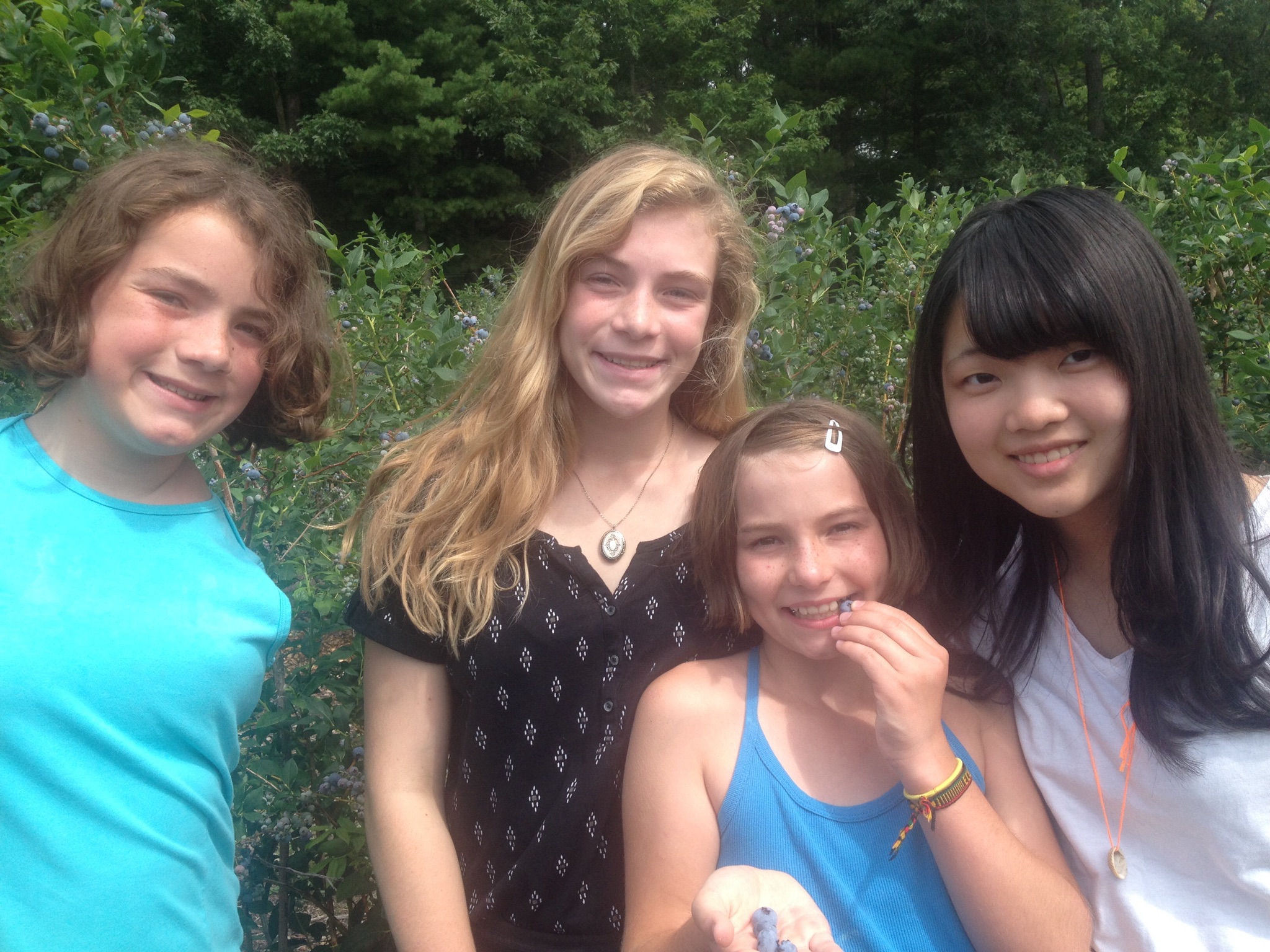 MSU Extension looking for summer exchange student host families ...