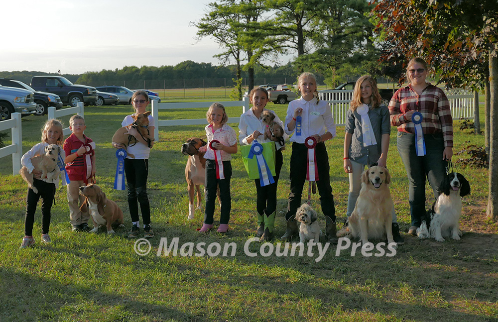 Fair dog competition winners. | MasonCountyPress.com