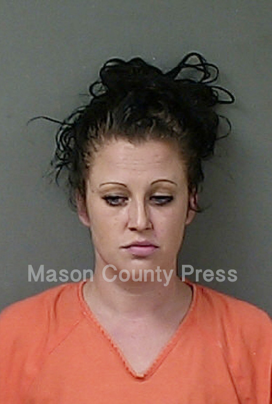 Breaking and entering among felony arraignments. | MasonCountyPress.com