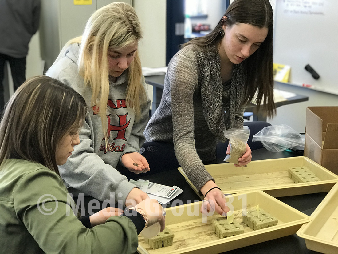 FFA and agriscience teach students leadership, hands-on skills ...