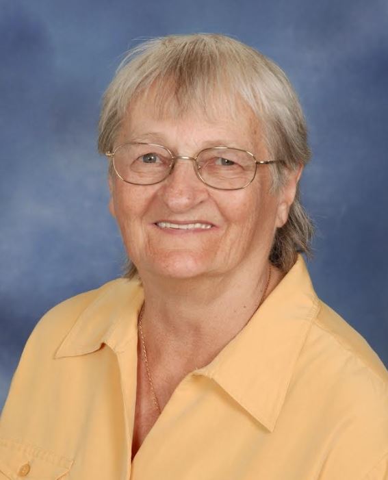 Obituary: Carol Dewyer, 80, of Ludington. | MasonCountyPress.com