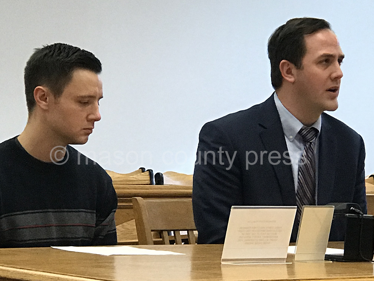 Hart man sentenced in domestic violence case. | MasonCountyPress.com