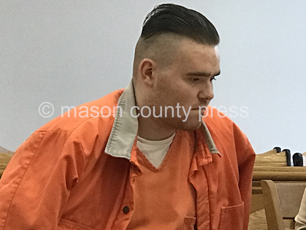 Man faces 4-15 years in prison after pleading guilty to CSC ...