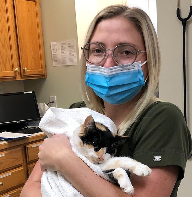 Community Cats TNR helps 1,200 cats to date. | MasonCountyPress.com