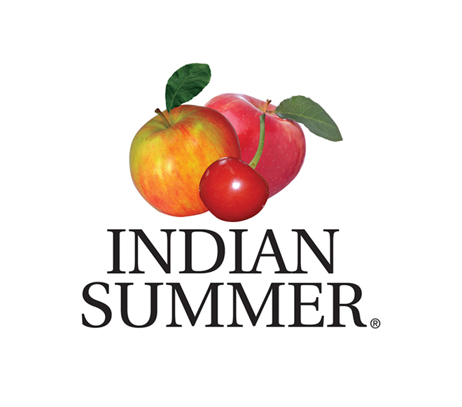 Employment: Hi-Lo Driver | MasonCountyPress.com