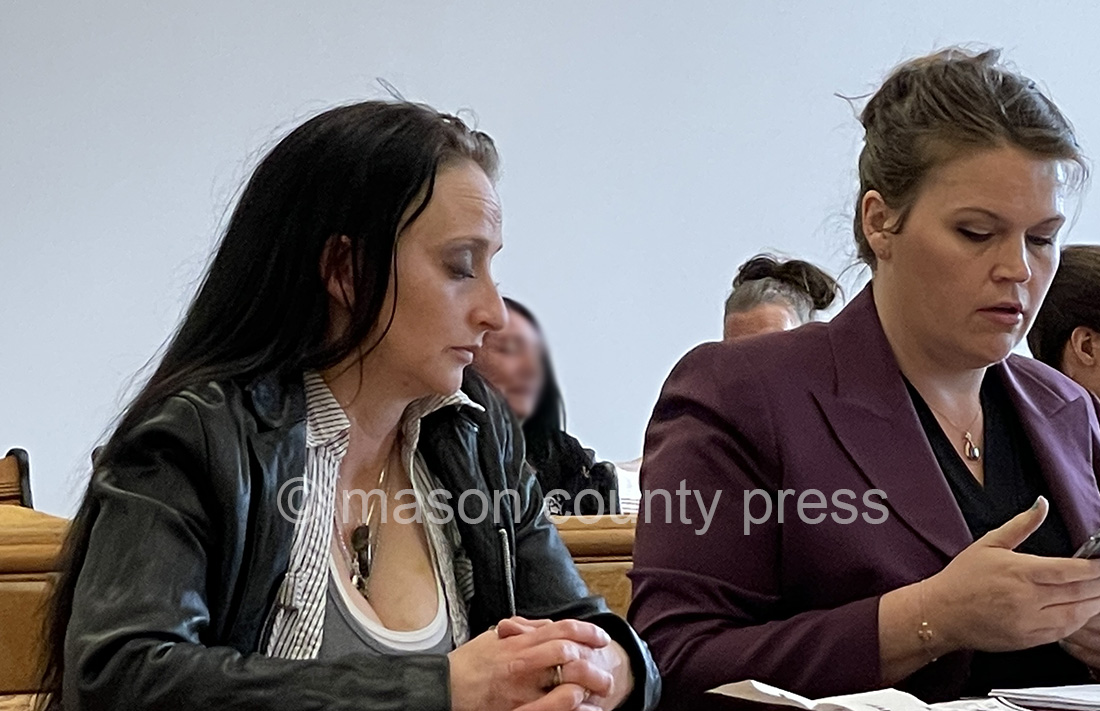Woman sentenced 1 year in jail on drug charges. | MasonCountyPress.com