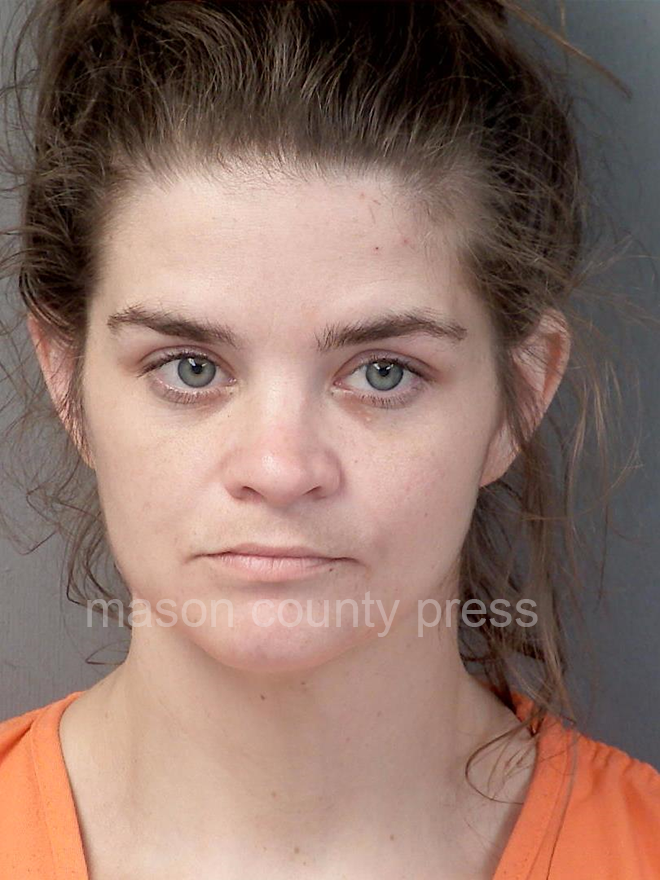 Ludington mother faces 20 months to 10 years for child abuse ...