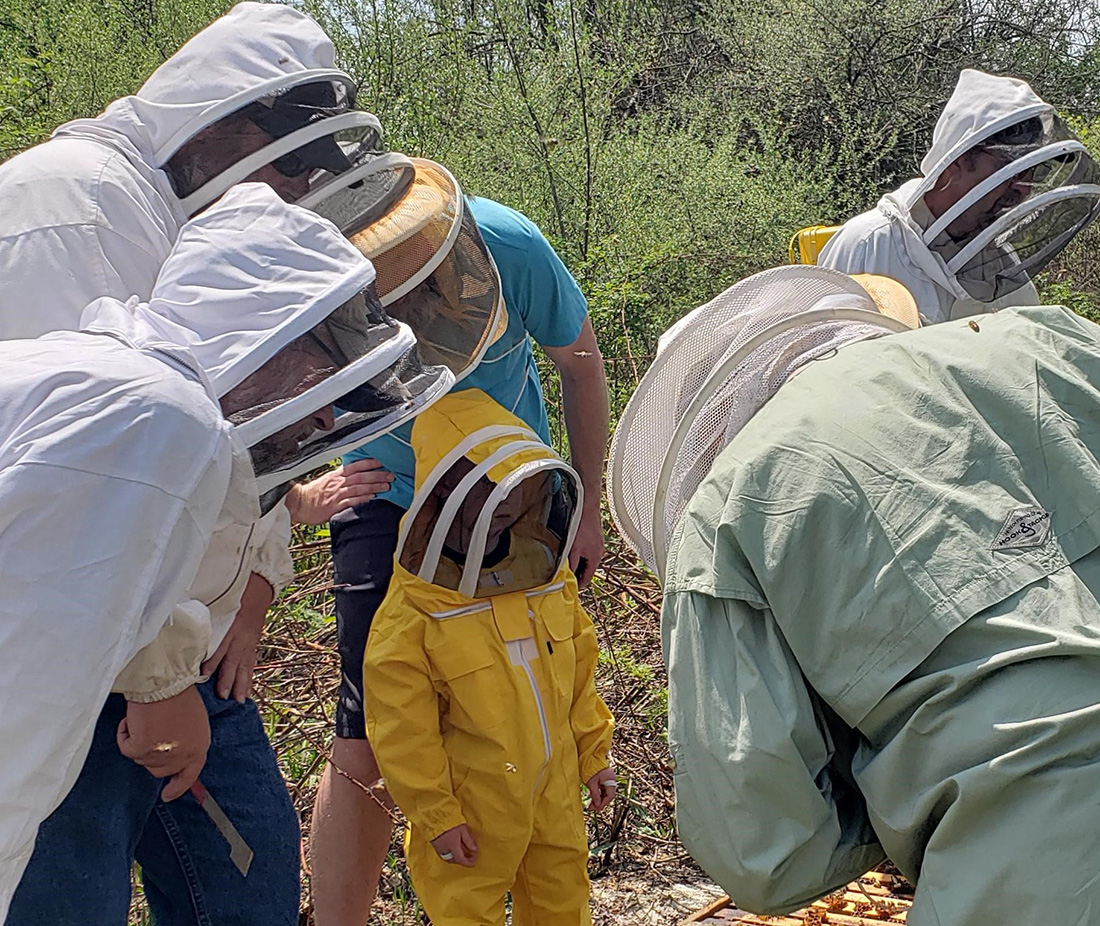 Beekeeping 101 class to be offered on Saturday | MasonCountyPress.com