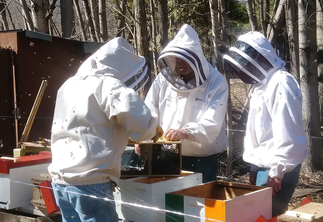 Beekeeping 101 class to be offered March 9 | MasonCountyPress.com