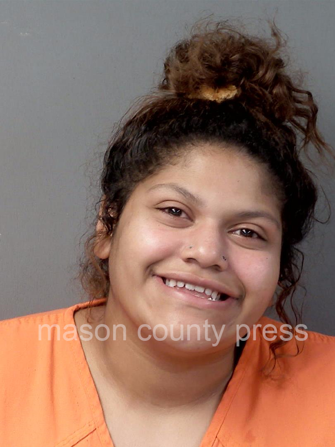 Teen sentenced to jail for knife assault | MasonCountyPress.com