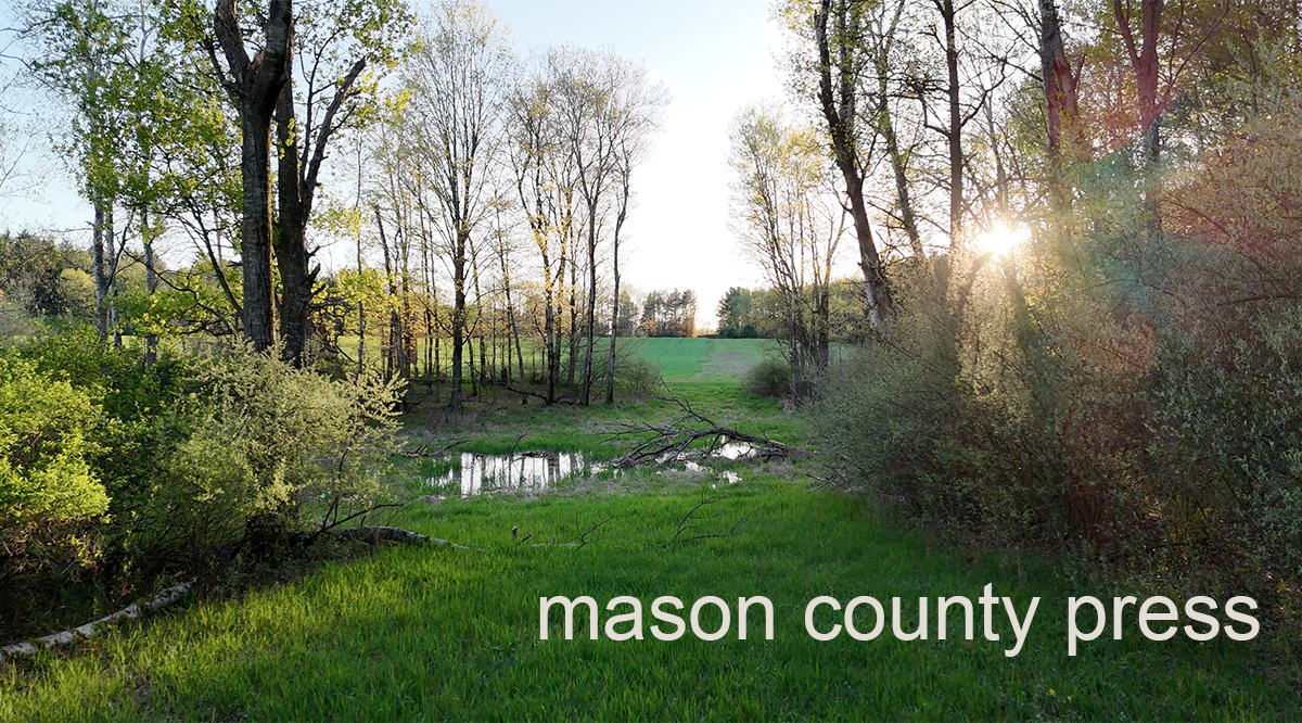 VIDEO: Sounds and sites of spring on the farm | MasonCountyPress.com