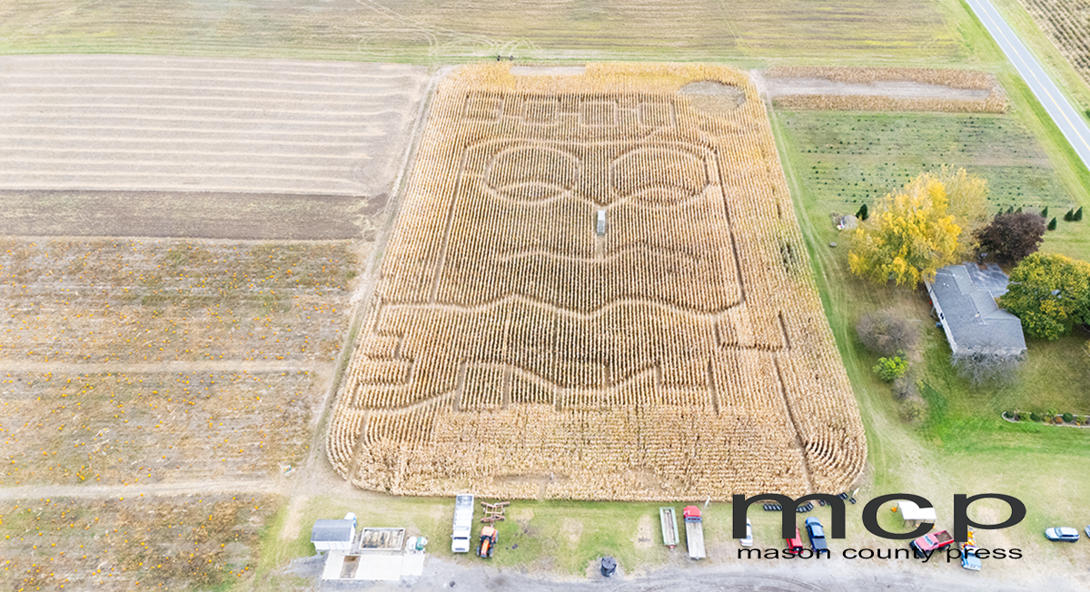 Orchard Market maize maze | MasonCountyPress.com