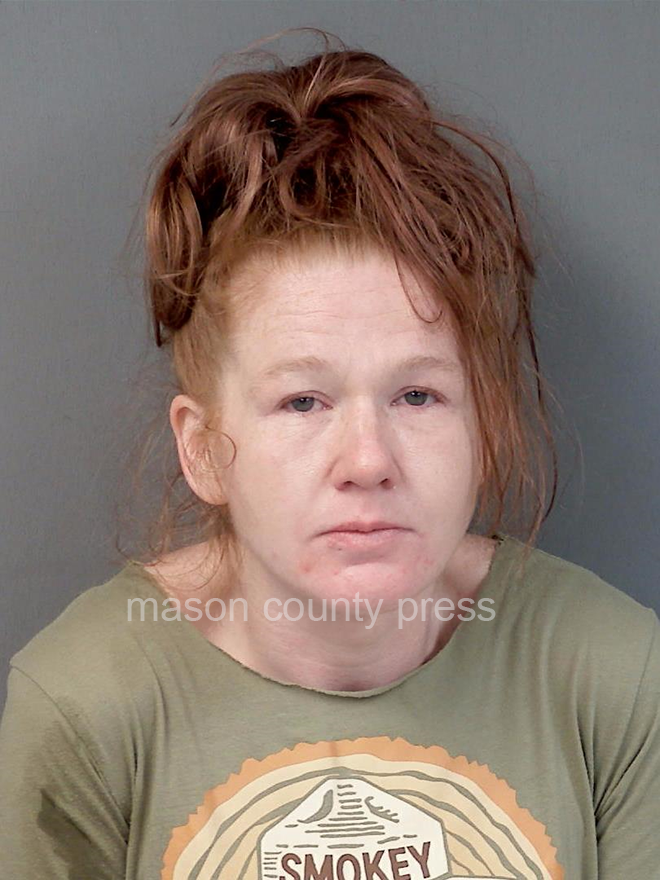 Woman charged with armed robbery | MasonCountyPress.com