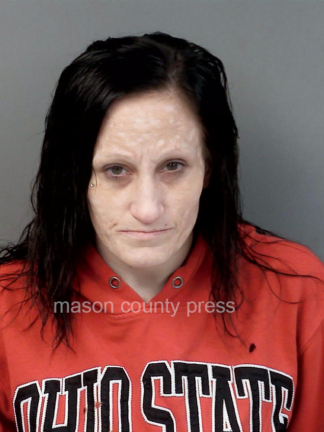 Woman sent to prison for meth delivery/manufacturing | MasonCountyPress.com