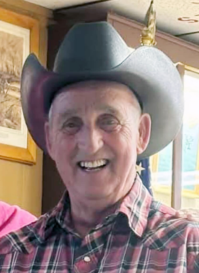 Obituary: Robert Hamilton Jensen, 78, of Ludington | MasonCountyPress.com