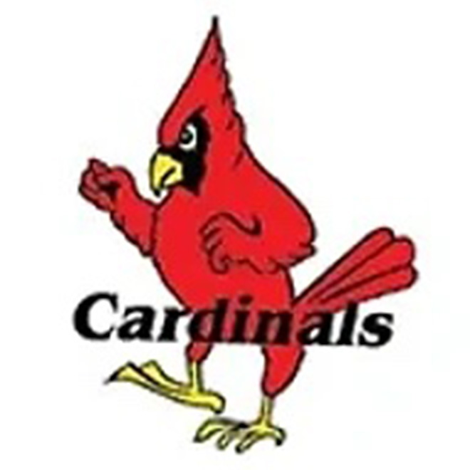 JV, Varsity Boys Basketball: Tough defeats for Cardinals ...