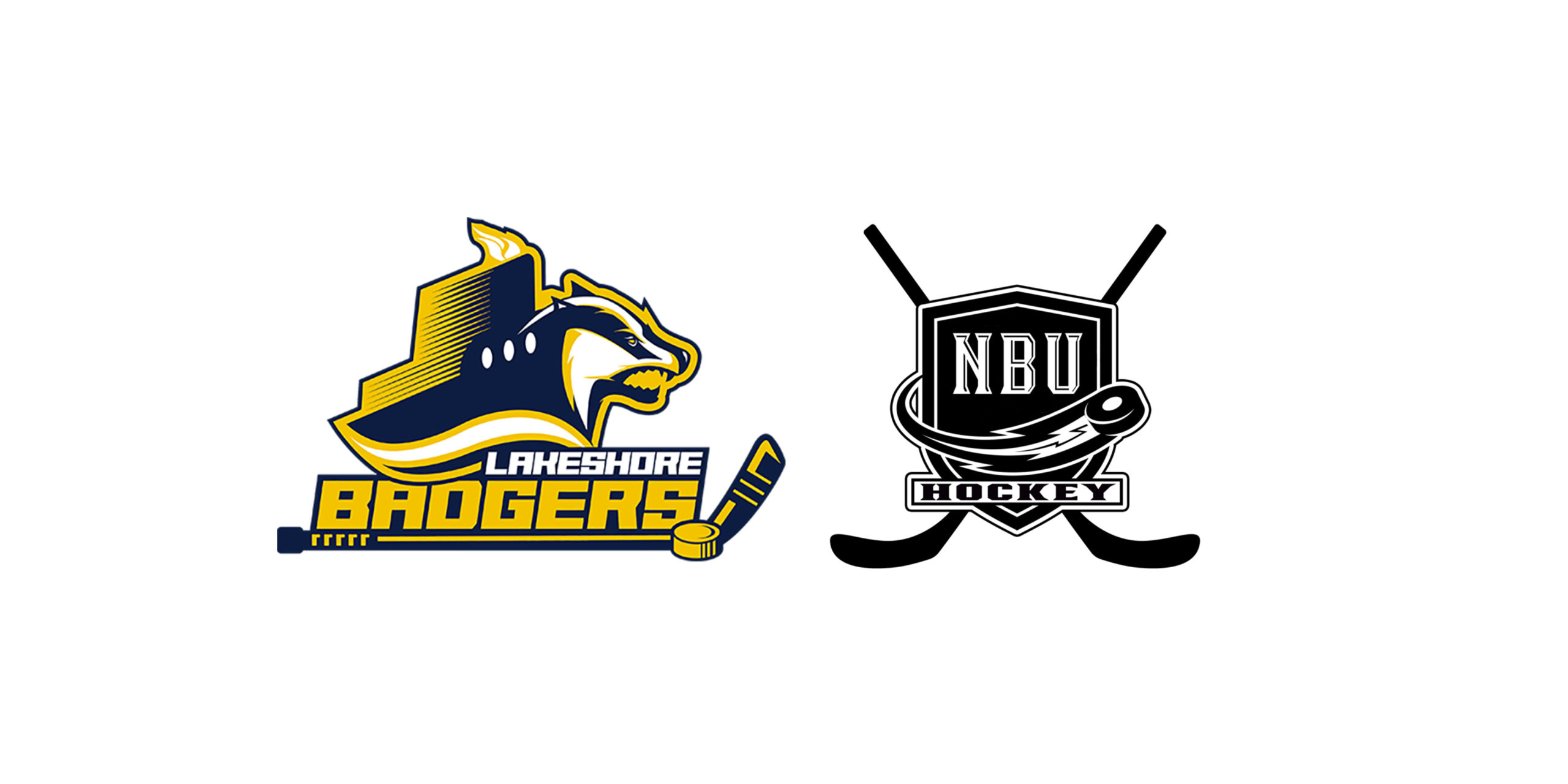 Co-op Varsity Hockey: Badgers win two in a row, defeat New Boston ...